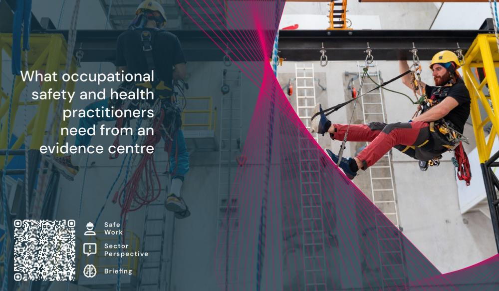 What occupational safety and health practitioners need from an evidence centre | Lloyd's ...